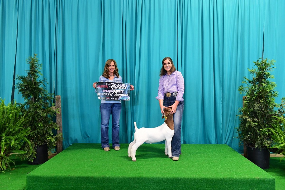 2019 ABGA and JABGA National Show || JABGA Breeding Showmanship ...