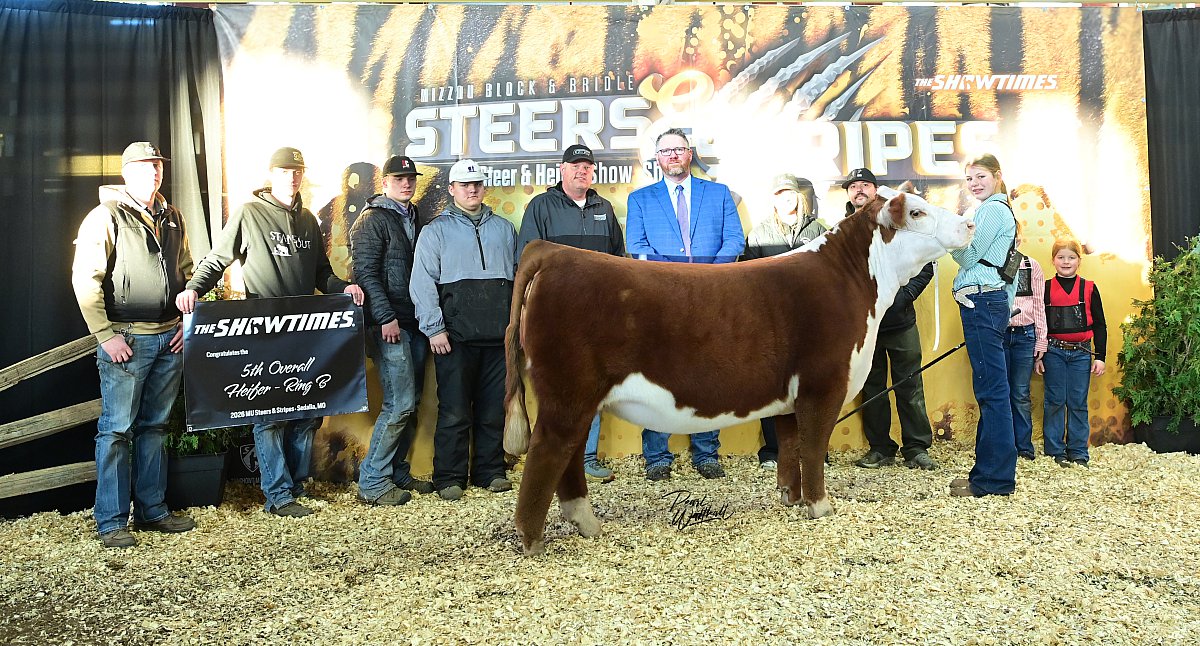 2026 MU Block and Bridle Steers and Stripes || Shows and Fairs ...
